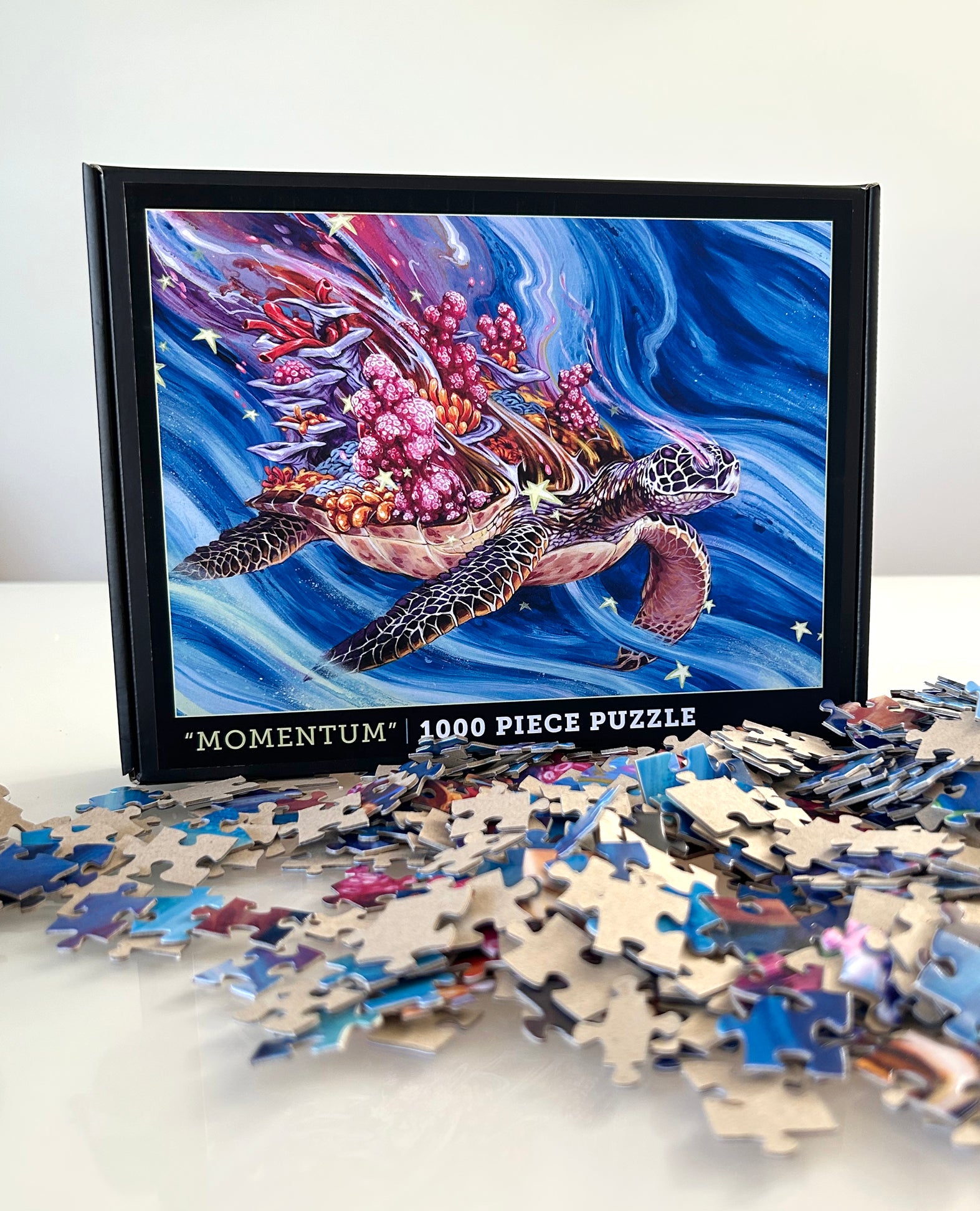 Momentum Puzzle – David Does Work